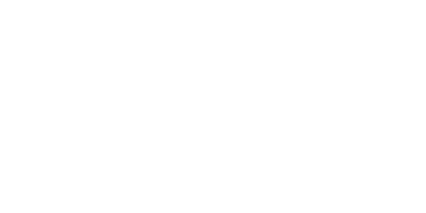 Flue Liners, Twin Wall Flues, Chimney Systems and Exhausts - Chimney ...